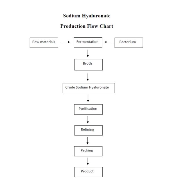 Hyaluronic Acid Production Flow Chart - Foreal BioTech