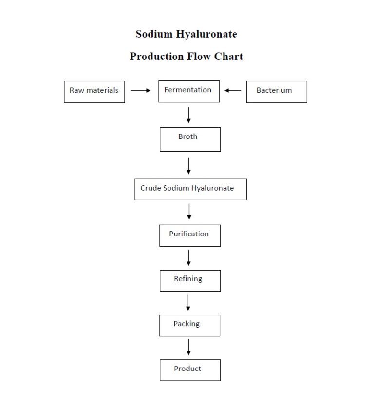 Hyaluronic Acid Production Flow Chart - Foreal BioTech